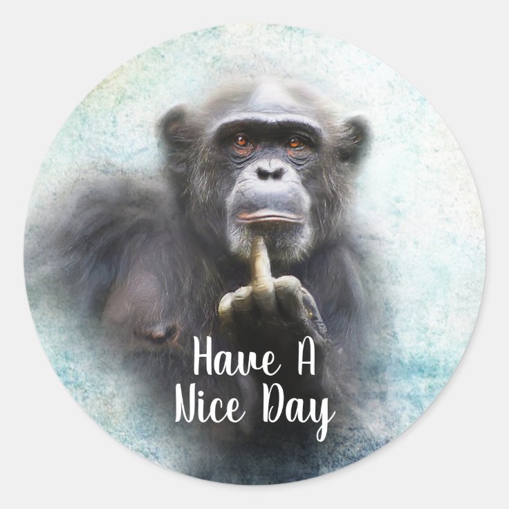 Funny Offensive Chimpanzee Middle Finger Classic Round Sticker | Zazzle