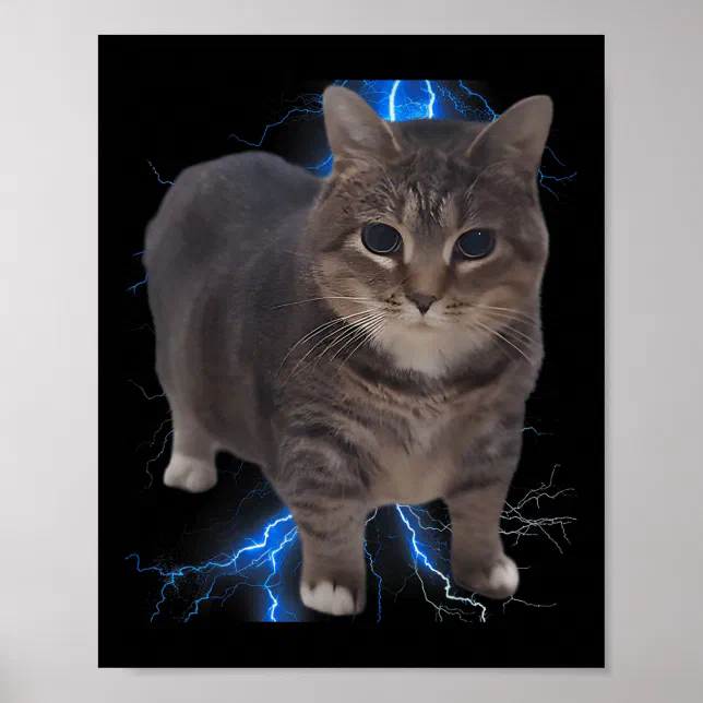 Funny Oiia Oiia Spinning Cat Meme Cat Brainrot Poster | Zazzle