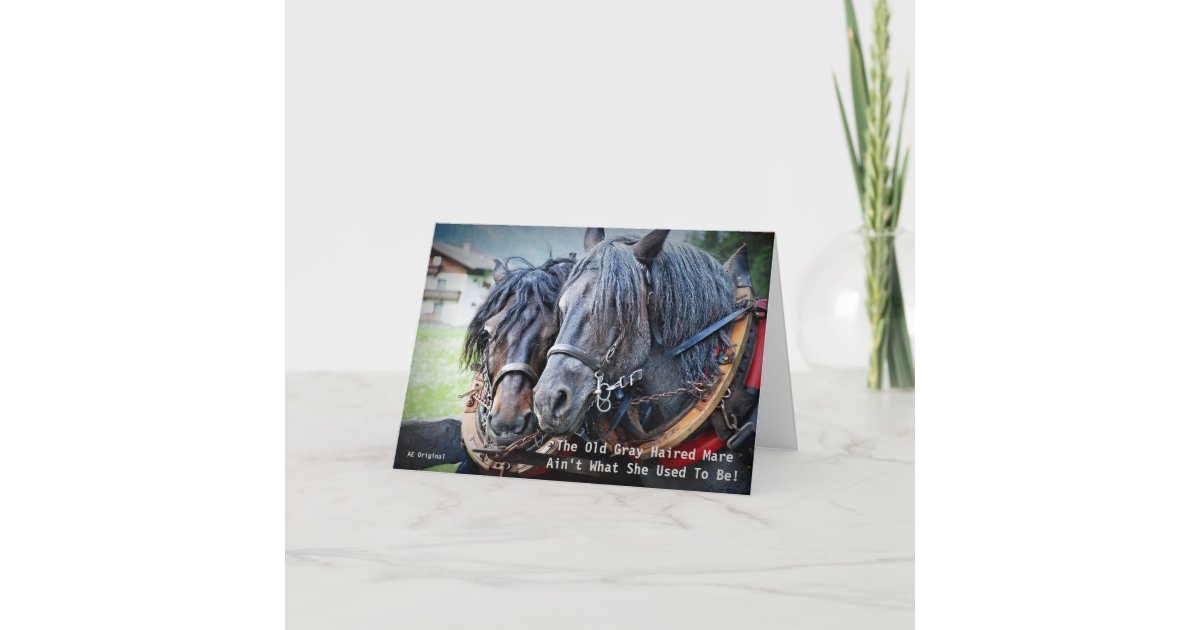 Funny Old Geezer Horse Greeting Card | Zazzle
