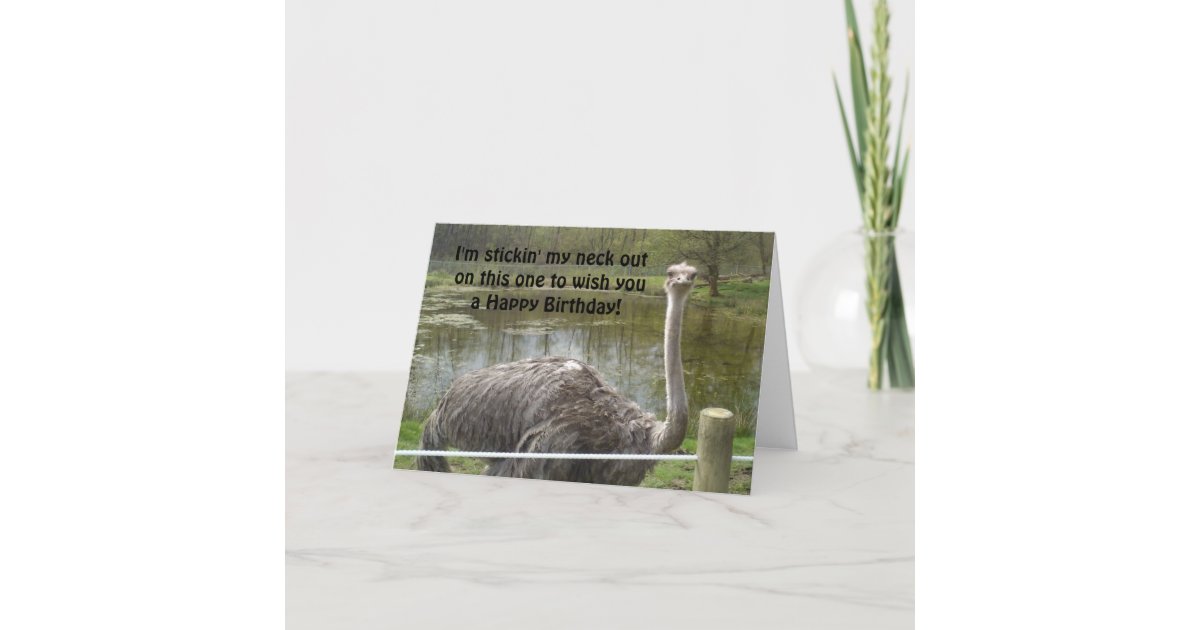 Funny Ostrich Birthday Card | Zazzle