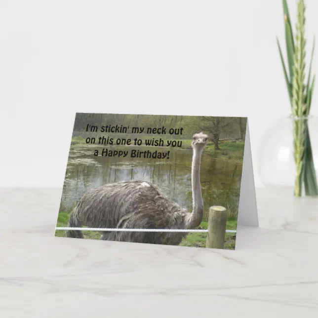 Funny Ostrich Birthday Card | Zazzle