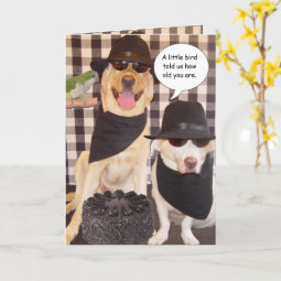 Funny Over the Hill Card | Zazzle