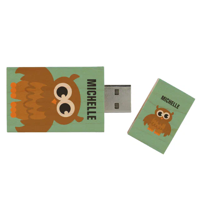 Funny owl cartoon USB pendrive flash drive | Zazzle