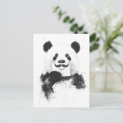 Funny panda postcard | Zazzle