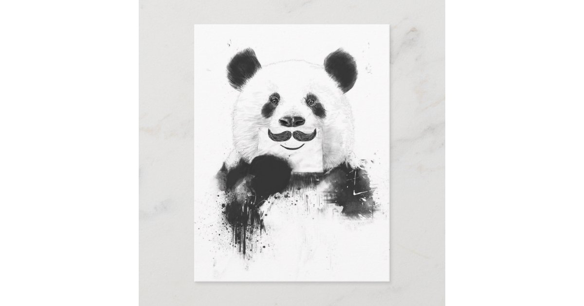 Funny panda postcard | Zazzle