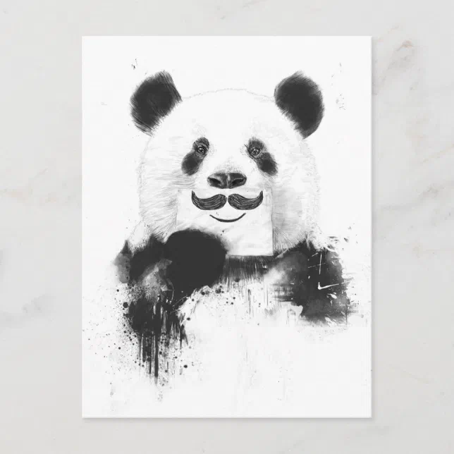 Funny panda postcard | Zazzle