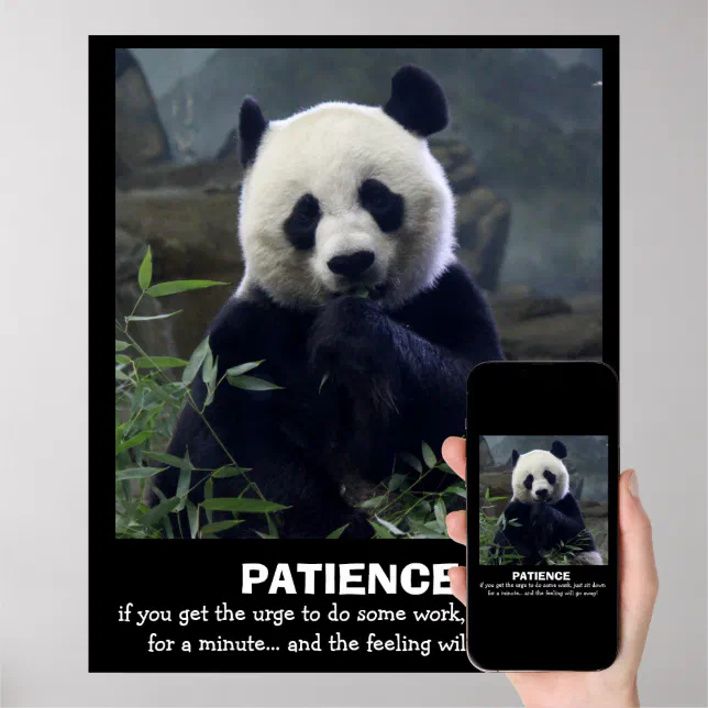 Funny Panda Poster, PATIENCE Poster | Zazzle