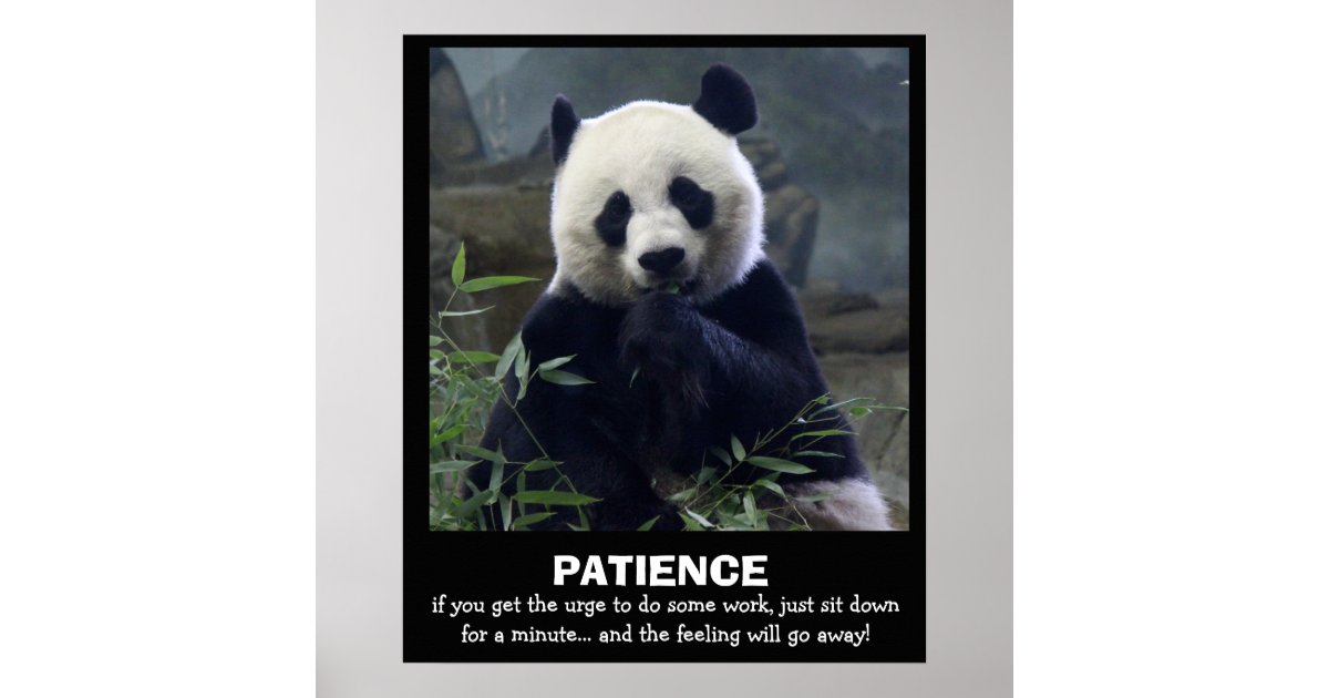 Funny Panda Poster, PATIENCE Poster | Zazzle