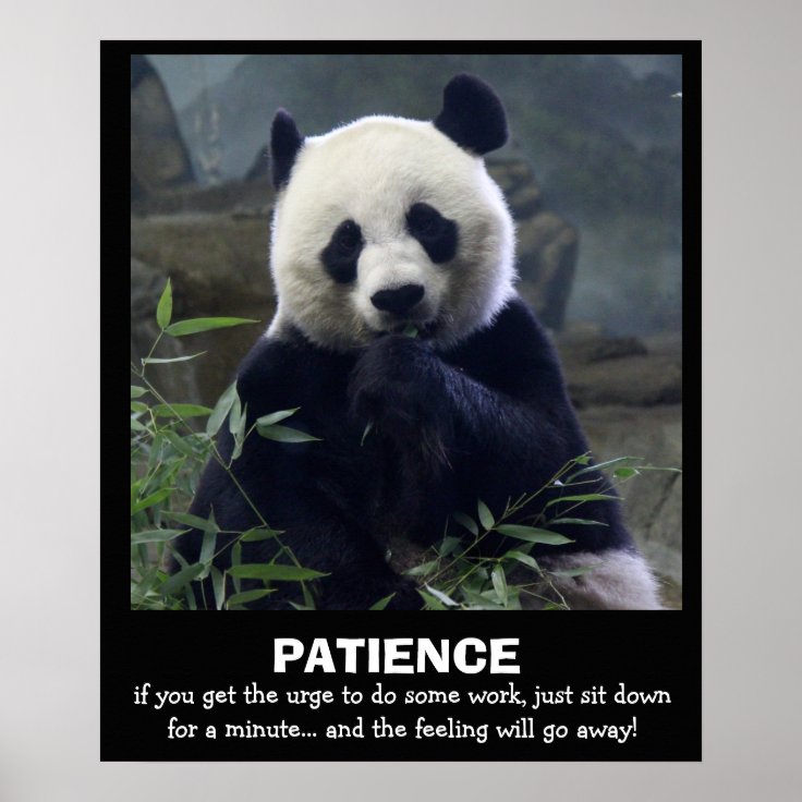 Funny Panda Poster, PATIENCE Poster | Zazzle