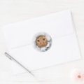 Funny Peek A Boo Cat Kitten Stickers | Zazzle