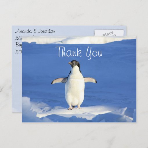 Funny Penguin Thank You Postcard | Zazzle