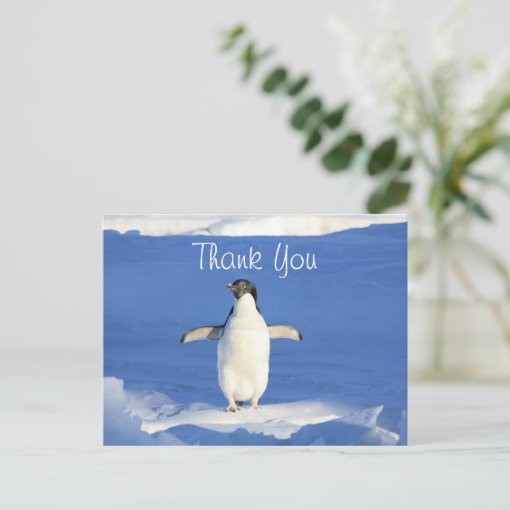 Funny Penguin Thank You Postcard | Zazzle