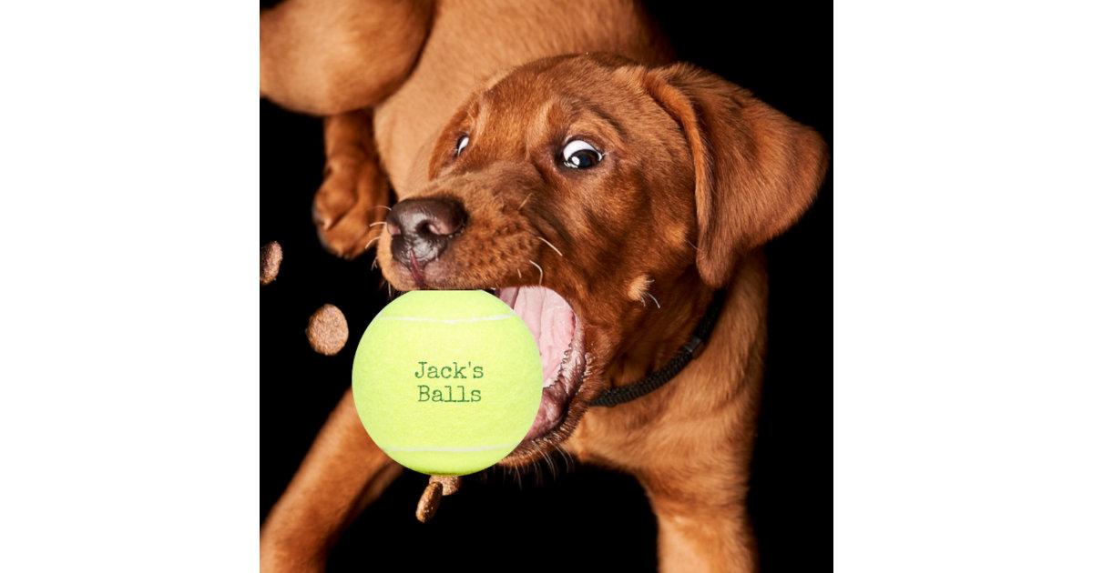 Funny Personalized Tennis Balls | Zazzle