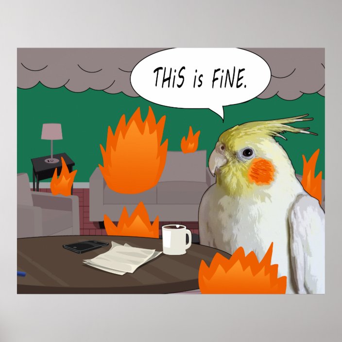 Funny Pet Cockatiel Quarantine This Is Fine Meme Poster | Zazzle.com