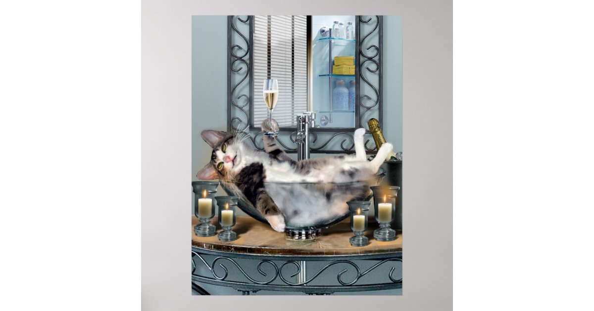 Funny Pet Poster Tipsy Kitty | Zazzle