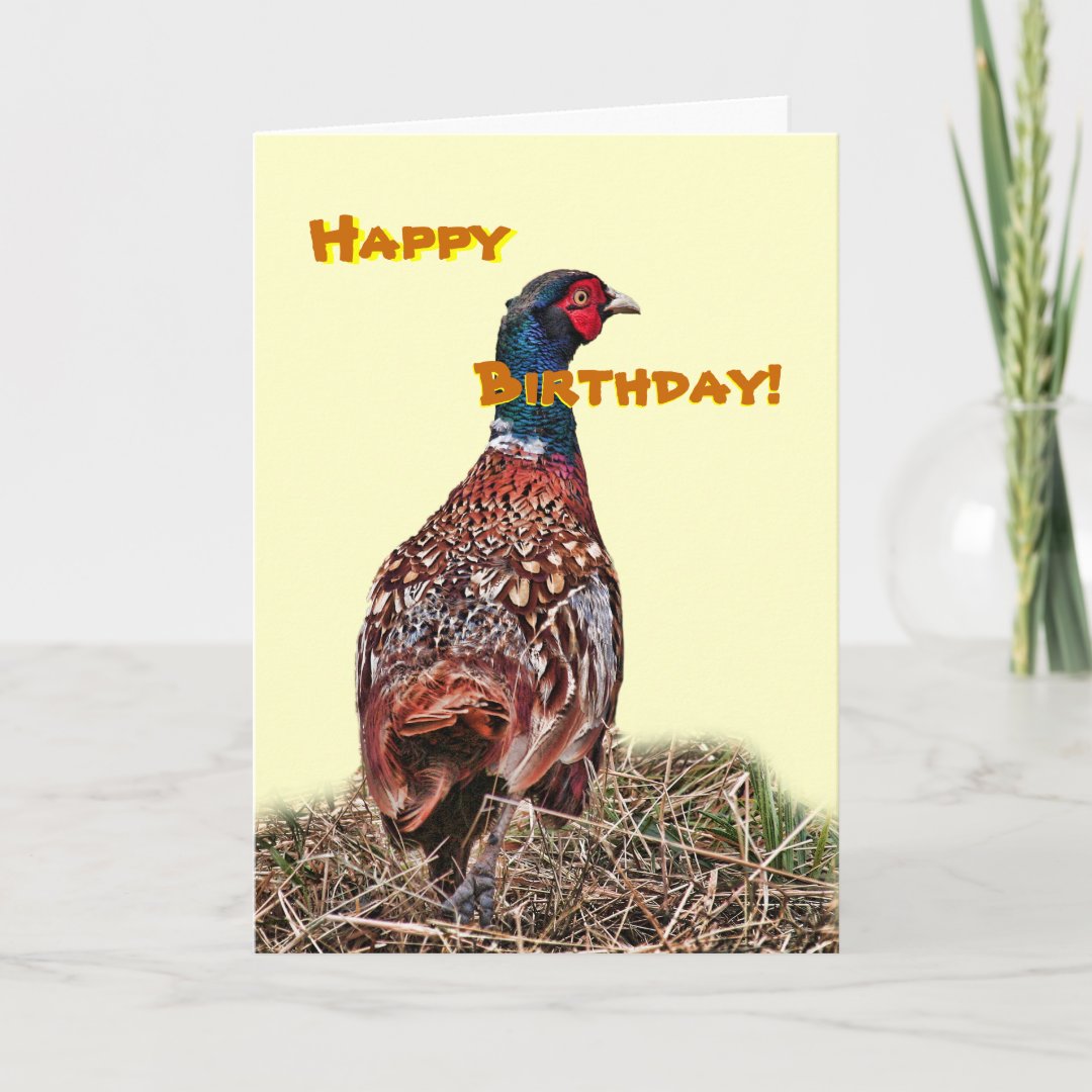 Funny Pheasant birthday card | Zazzle