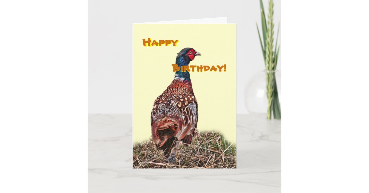 Funny Pheasant birthday card | Zazzle
