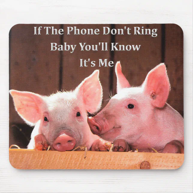 Funny Pig Memes with funny pig sayings and quotes Mouse Pad | Zazzle