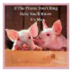 Funny Pig Memes with funny pig sayings and quotes. Poster | Zazzle
