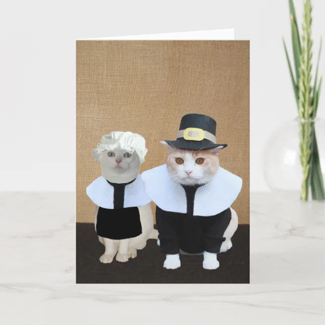 Funny Pilgrim Cats Thanksgiving Card | Zazzle