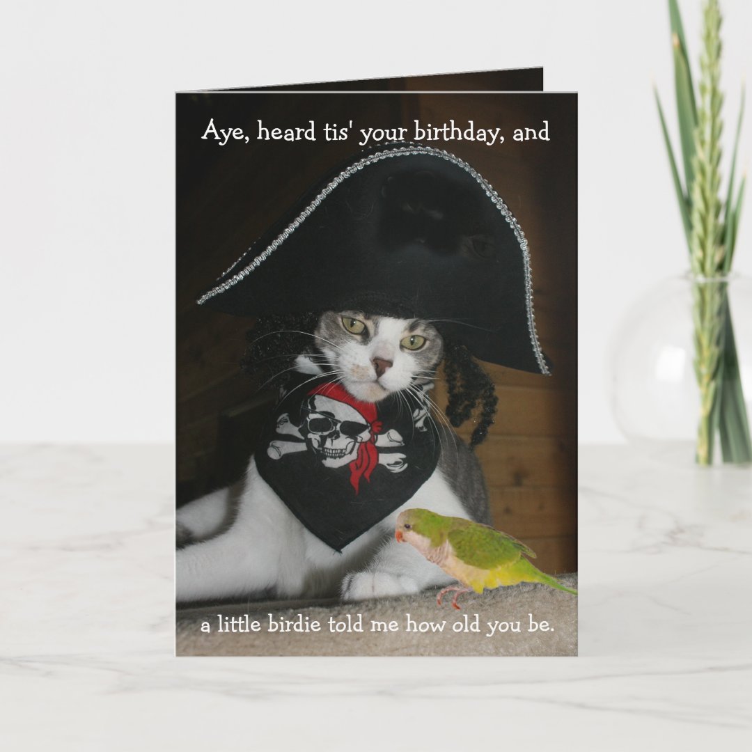 Funny Pirate Cat Card | Zazzle