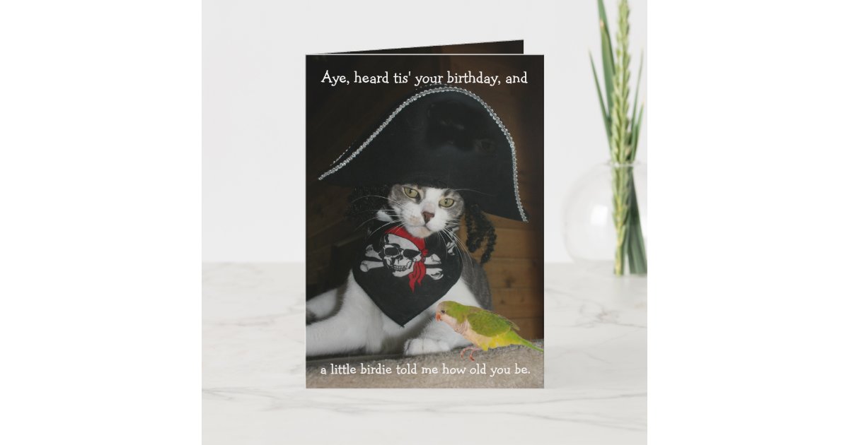Funny Pirate Cat Card | Zazzle