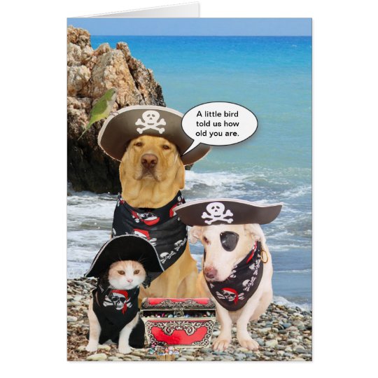 Funny Pirate Pets Birthday Card Zazzle Funny Pirate Pets Birthday Card Zazzle