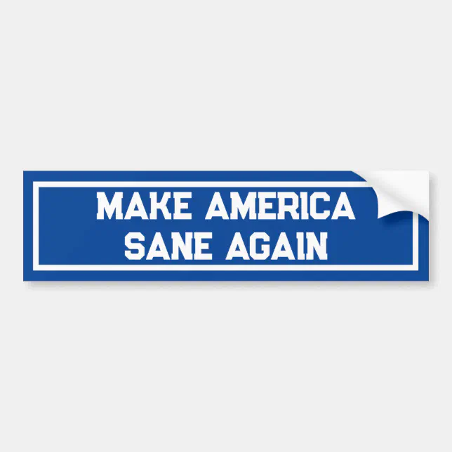 Funny Political Make America Sane Again Bumper Sticker | Zazzle