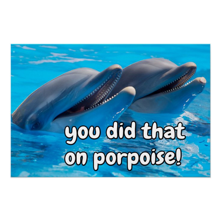 Funny Porpoise Memes Funny Porpoise Sayings Quotes Poster | Zazzle