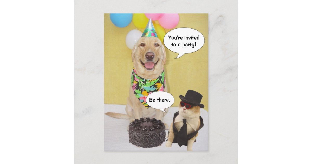 Funny Postcard Invitation | Zazzle