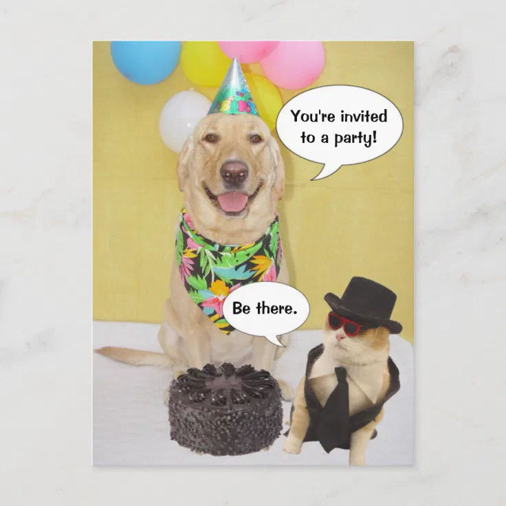 Funny Postcard Invitation | Zazzle