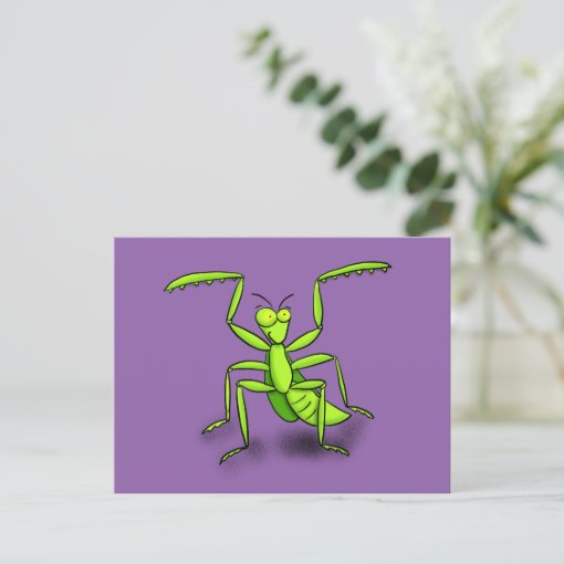 Funny praying mantis cartoon postcard | Zazzle
