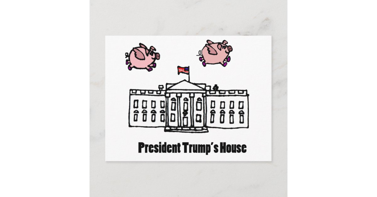 Funny President Trump When Pigs Fly Cartoon Postcard | Zazzle