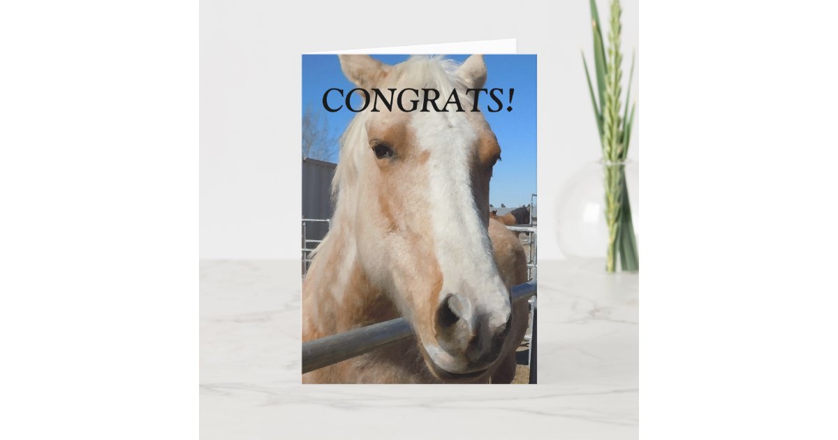 Funny Professional Graduate Congratulations Horse Card | Zazzle.com