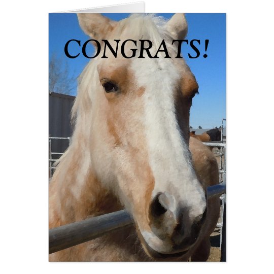Funny Professional Graduate Congratulations Horse Card | Zazzle.com