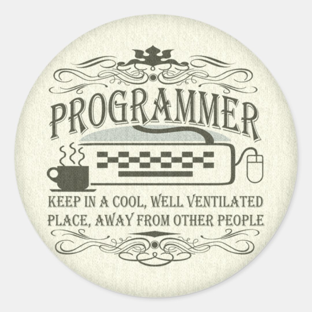 Funny Programmer Classic Round Sticker | Zazzle