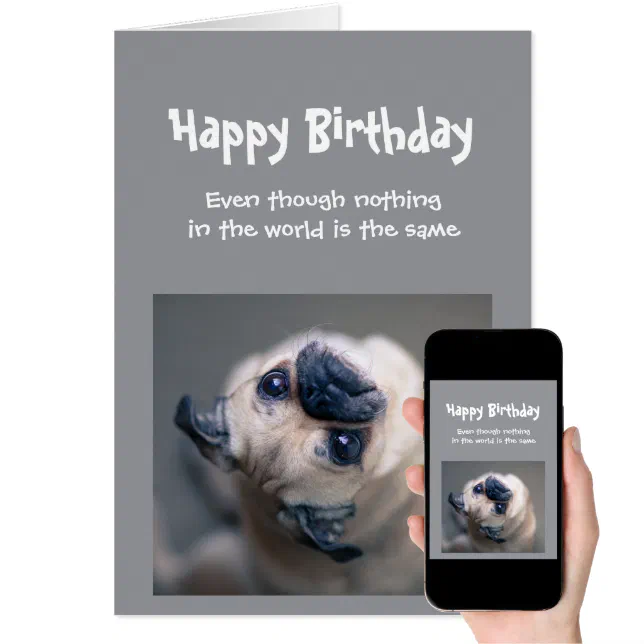 Funny Pug Dog Social Distancing Birthday | Zazzle