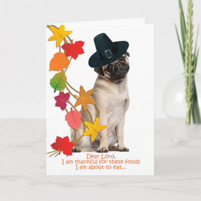 Funny Pug Thanksgiving Card | Zazzle