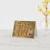 Funny Rabbit Meerkat Congratulations Card | Zazzle