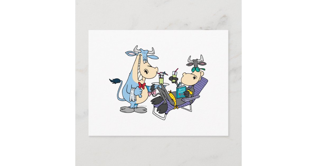 funny relaxing pampered cow cartoon postcard | Zazzle