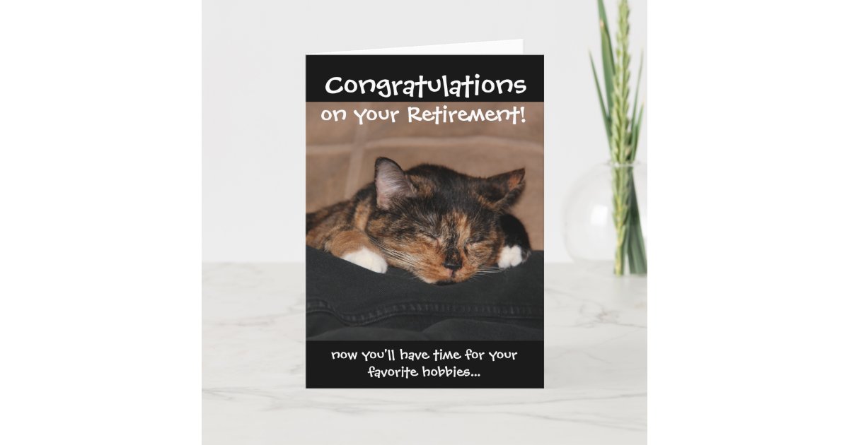 Funny Retirement Card, Napping Calico Cat Card | Zazzle