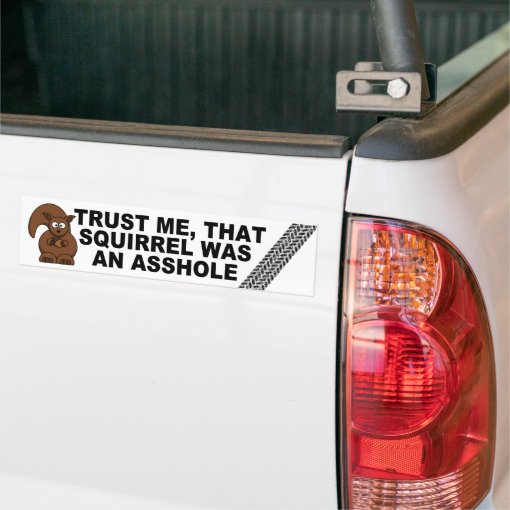 Funny road kill joke bumper sticker | Zazzle