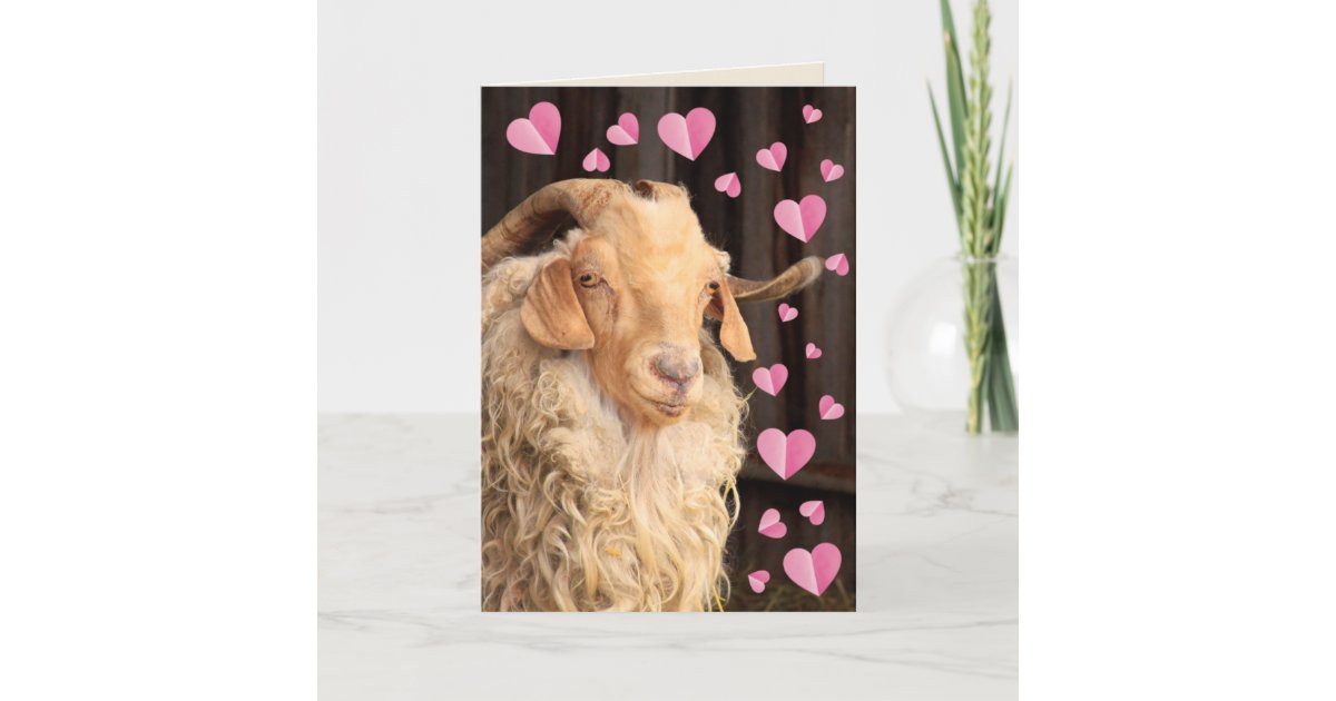 Funny Romantic Goat Valentine's Day Holiday Card | Zazzle