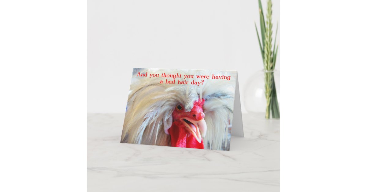 Funny Roosters bad hair day Card | Zazzle