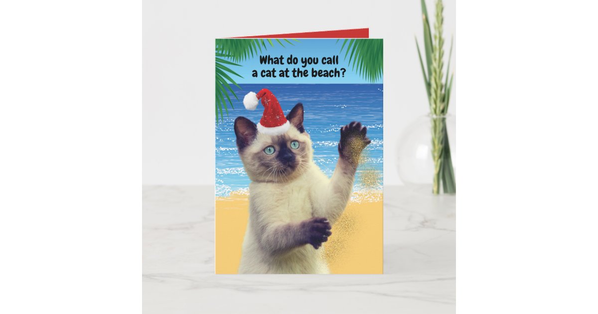 Funny "Sandy Claws" Cat On The Beach Christmas Holiday Card | Zazzle