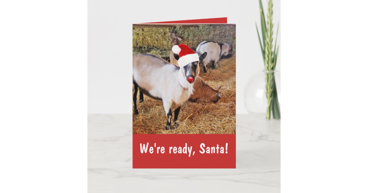 Funny Santa's Goats Christmas Card | Zazzle