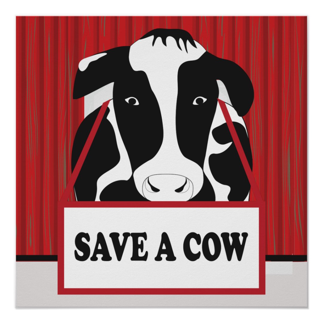 Funny Save a Cow 20x20 Poster | Zazzle