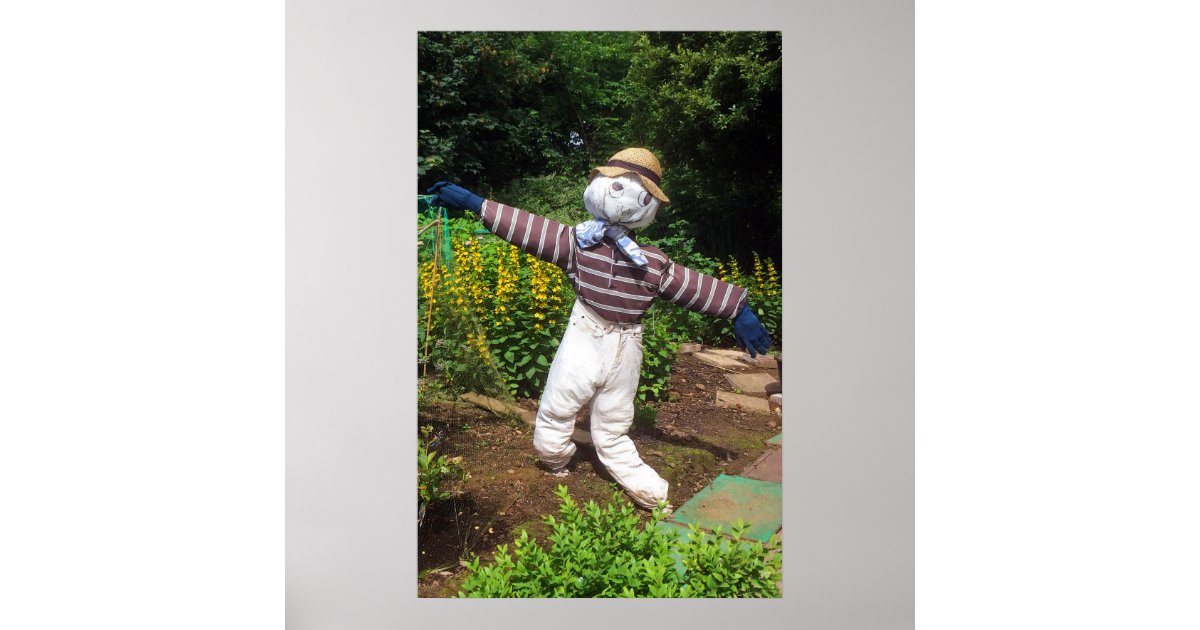 Funny scarecrow poster | Zazzle