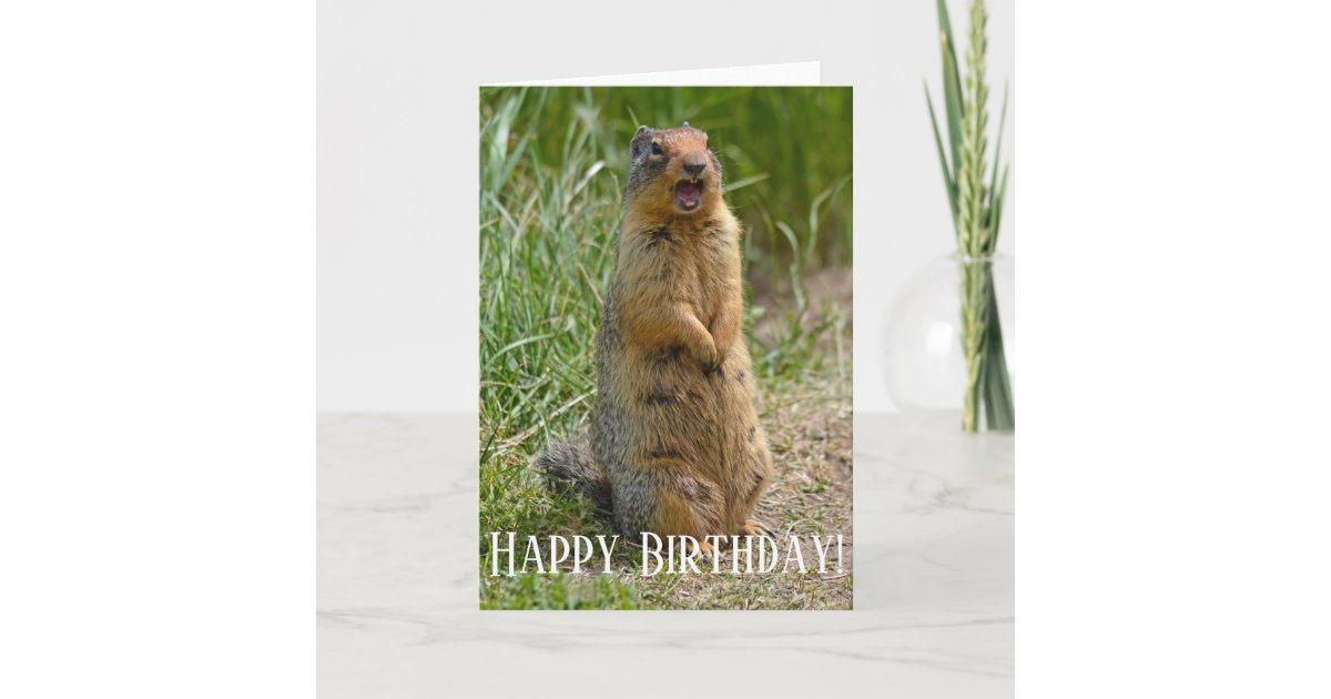 Funny screaming gopher card | Zazzle