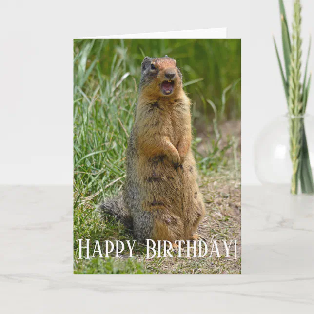 Funny screaming gopher card | Zazzle